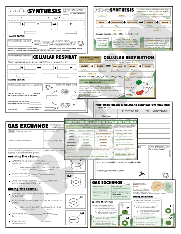 Biology Unit Pack (Alberta Science 10 Curriculum) | Made By Teachers
