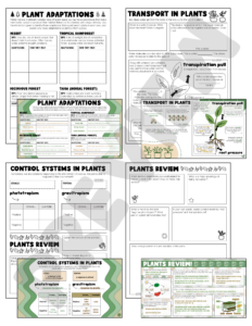 Biology Unit Pack (Alberta Science 10 Curriculum) | Made By Teachers