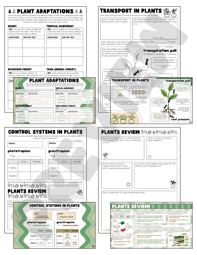 Biology Unit Pack (Alberta Science 10 Curriculum) | Made By Teachers