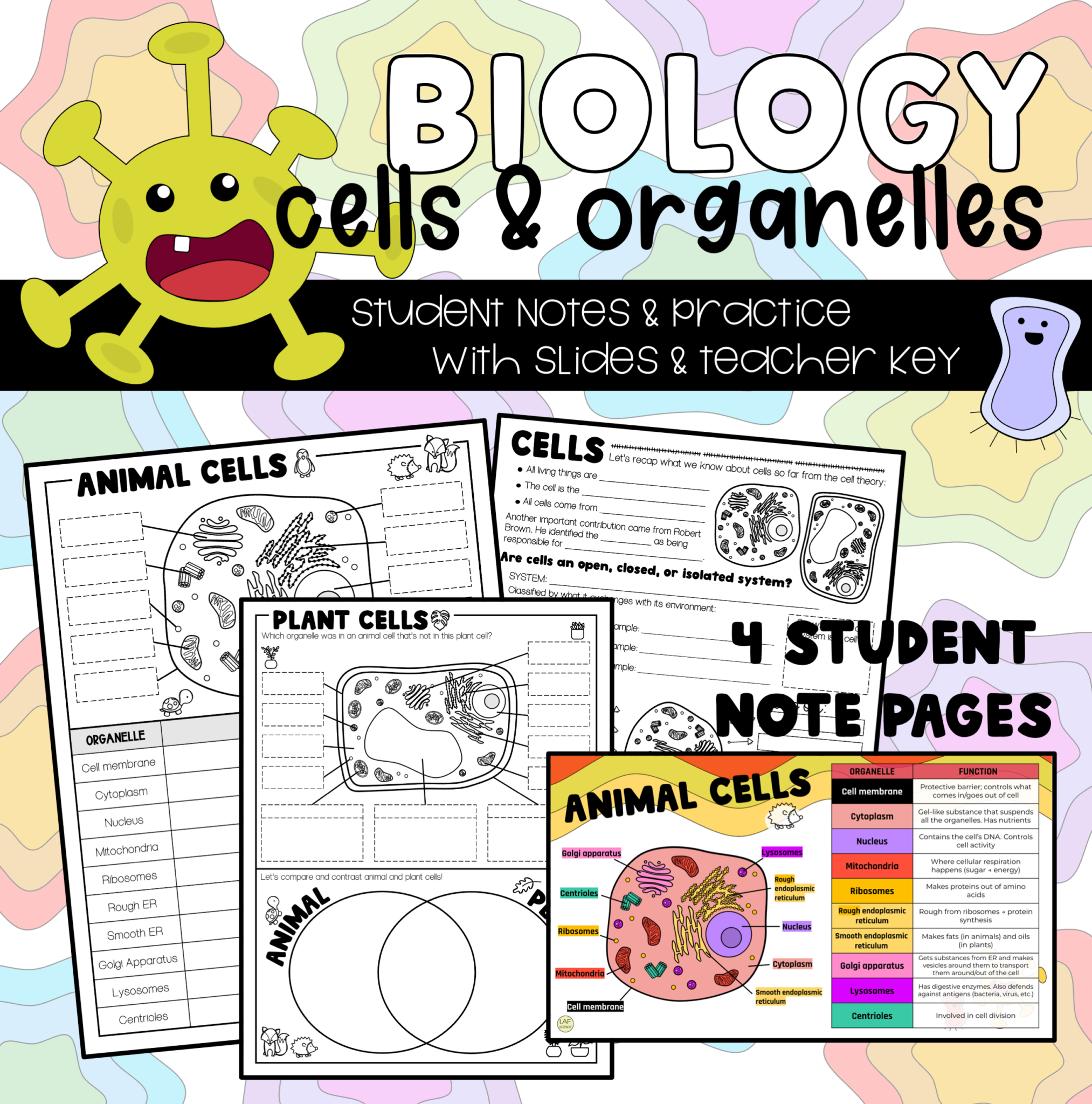Plant and Animal Cells & Organelles (Notes and Practice) | Made By Teachers