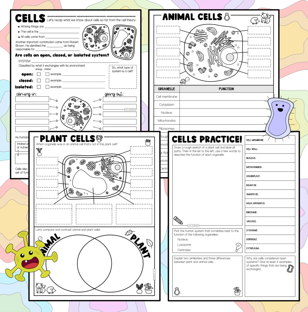 Plant and Animal Cells & Organelles (Notes and Practice) | Made By Teachers