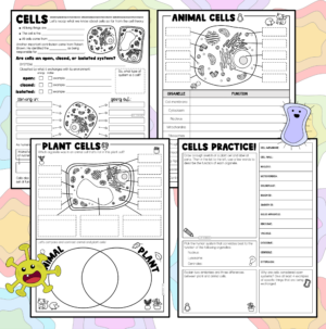 Plant and Animal Cells & Organelles (Notes and Practice) | Made By Teachers