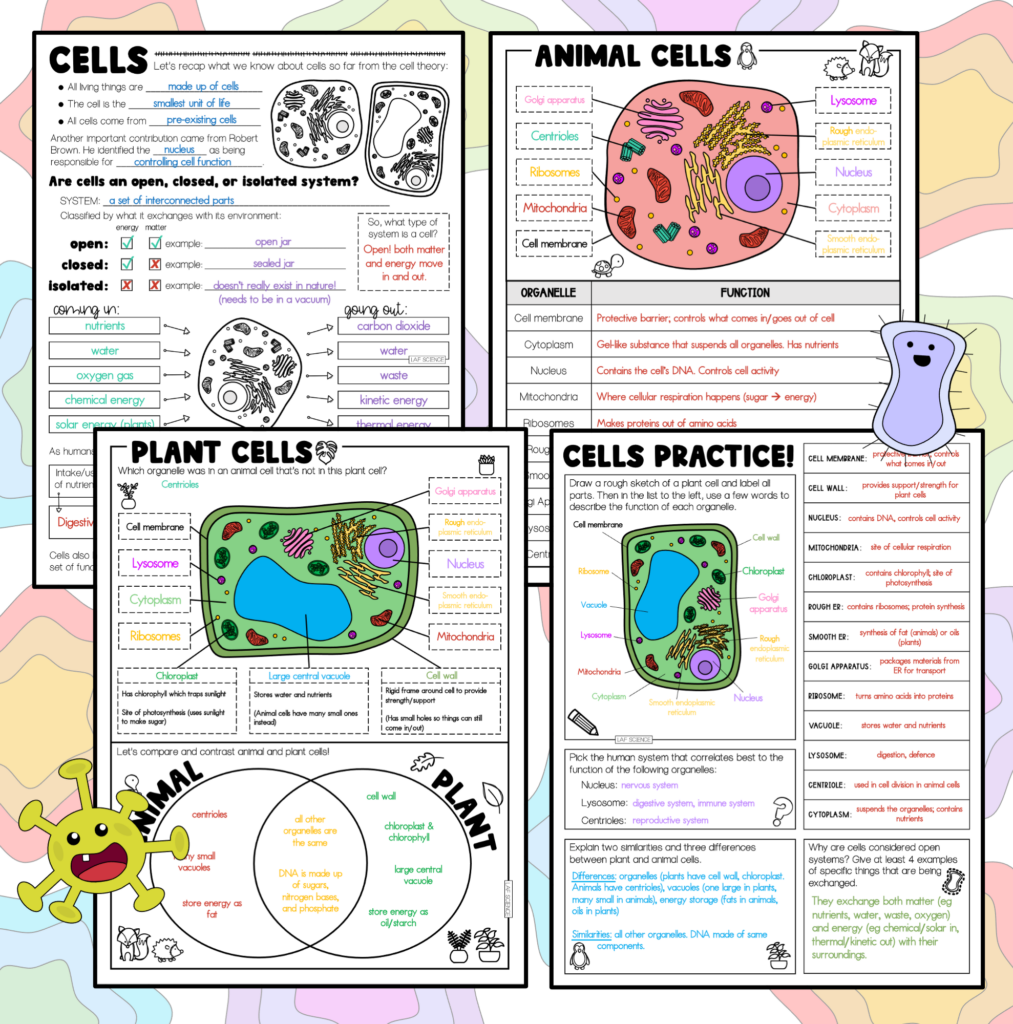 Plant and Animal Cells & Organelles (Notes and Practice) | Made By Teachers