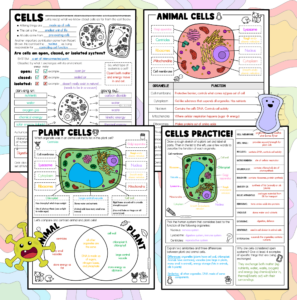 Plant and Animal Cells & Organelles (Notes and Practice) | Made By Teachers