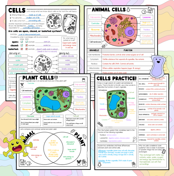 Plant and Animal Cells & Organelles (Notes and Practice) | Made By Teachers