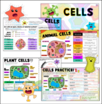 Plant and Animal Cells & Organelles (Notes and Practice) | Made By Teachers