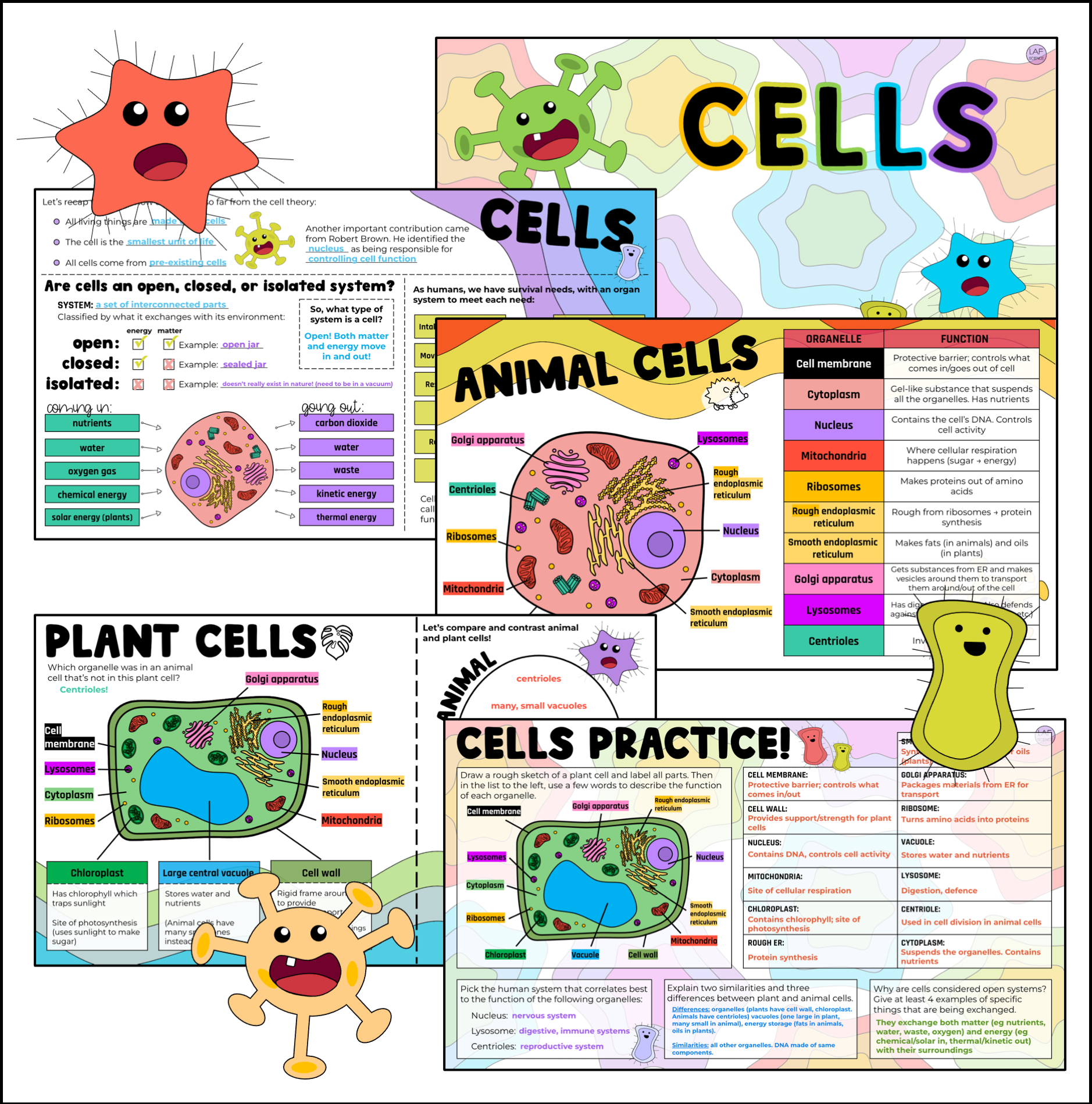 Plant and Animal Cells & Organelles (Notes and Practice) | Made By Teachers
