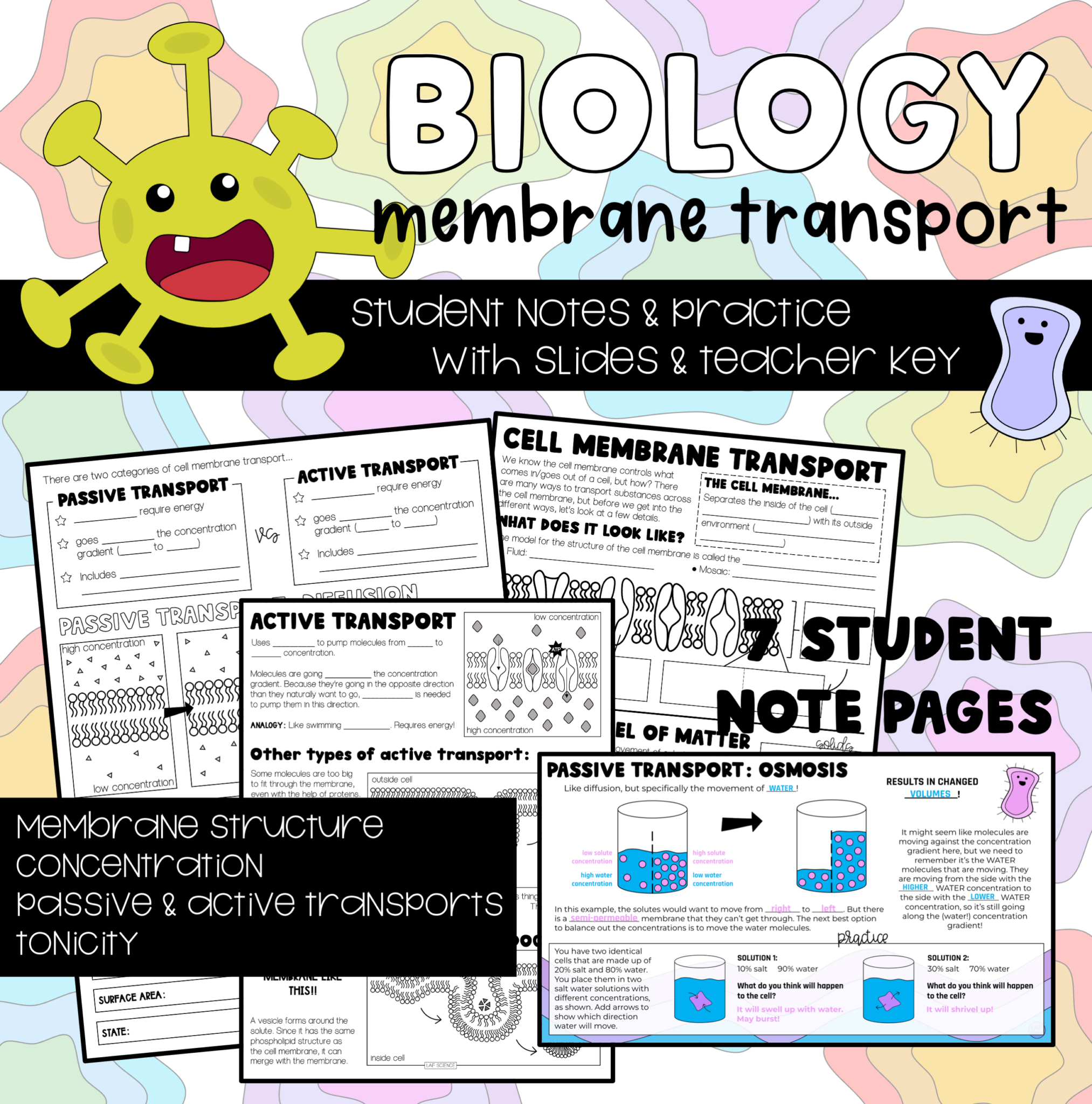 Cell Membrane Transport (Notes and Practice) | Made By Teachers
