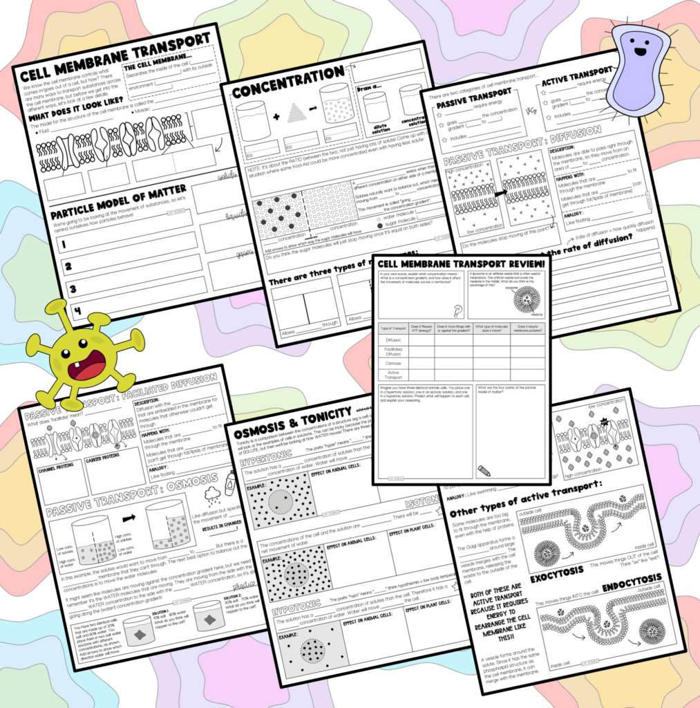 Cell Membrane Transport (Notes and Practice) | Made By Teachers