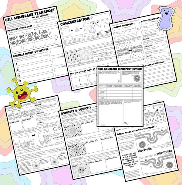 Cell Membrane Transport (Notes and Practice) | Made By Teachers