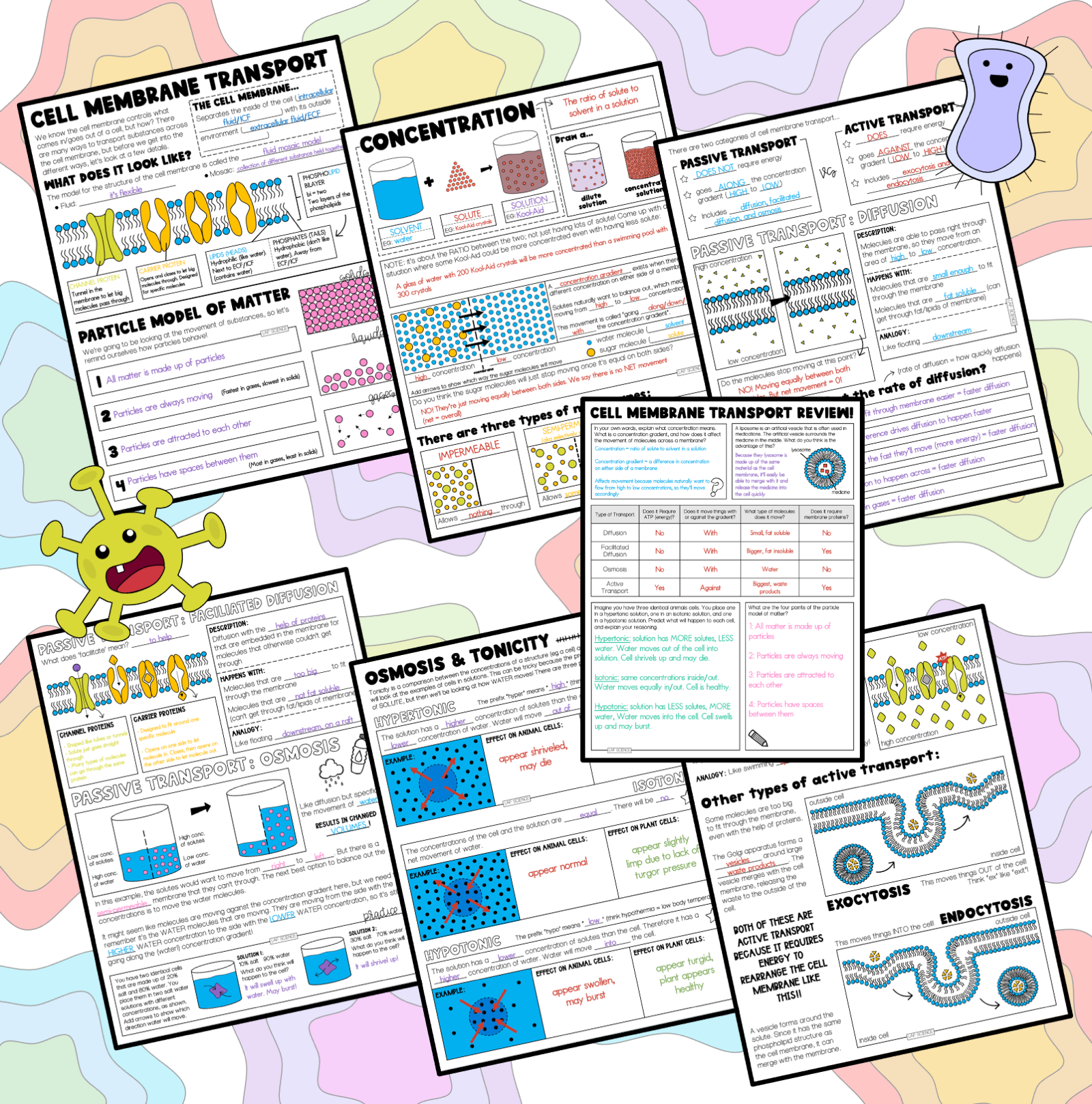 Cell Membrane Transport (Notes and Practice) | Made By Teachers