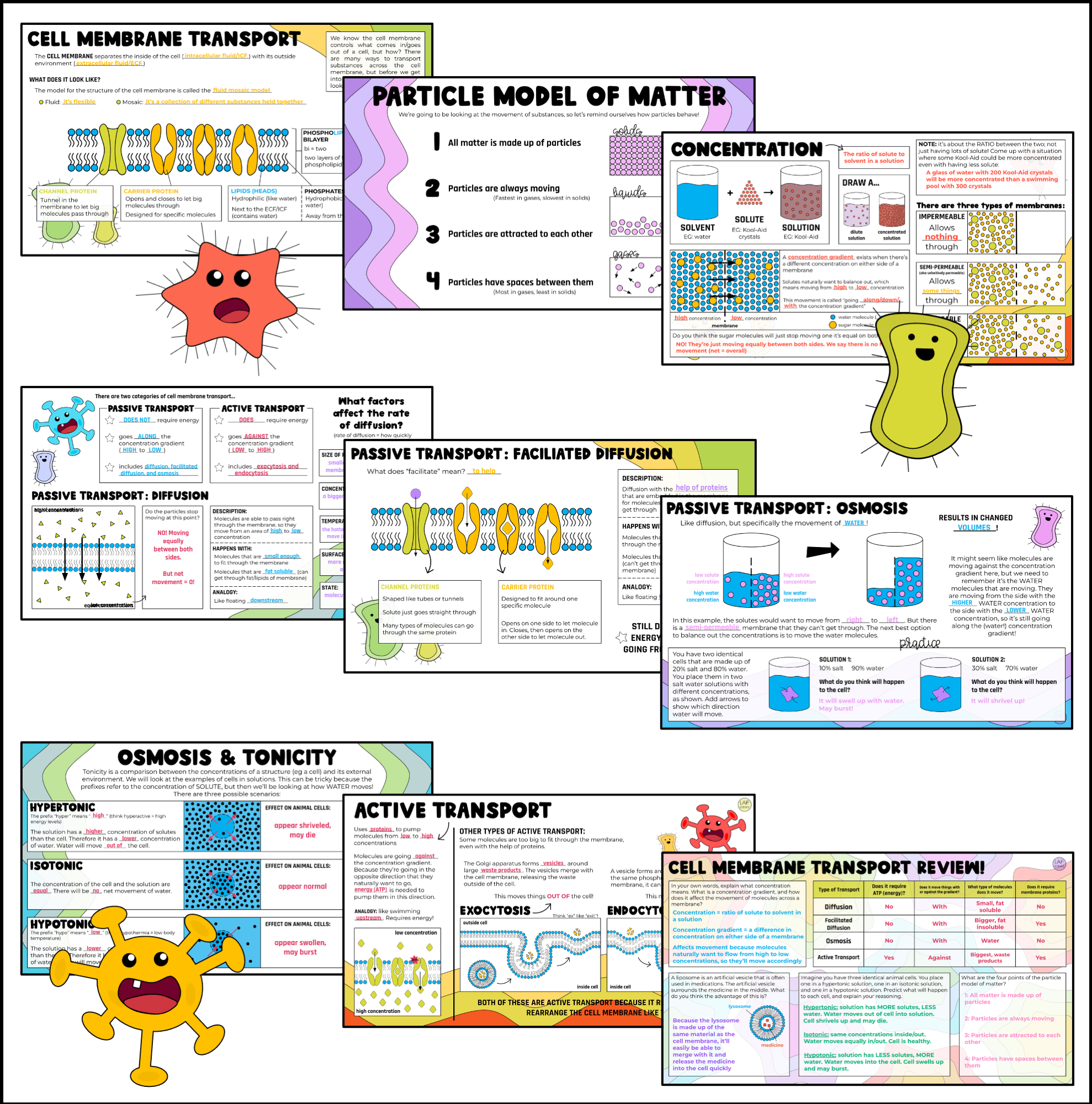 Cell Membrane Transport (Notes and Practice) | Made By Teachers
