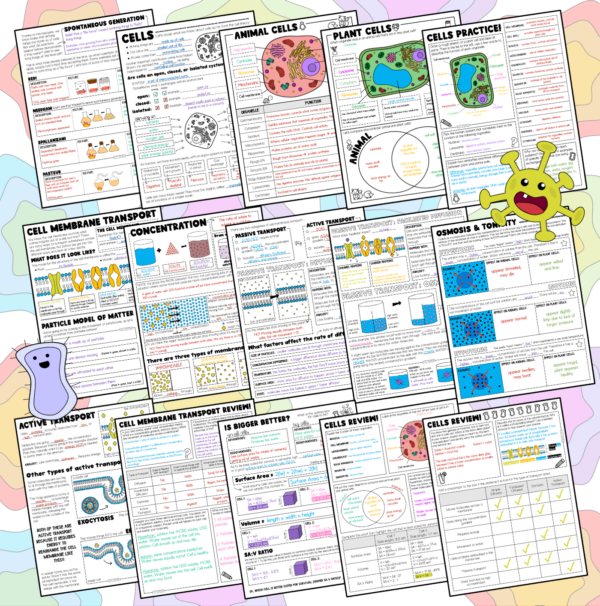 Cells Chapter Notes and Practice (organelles, membrane transport, SA:V ...