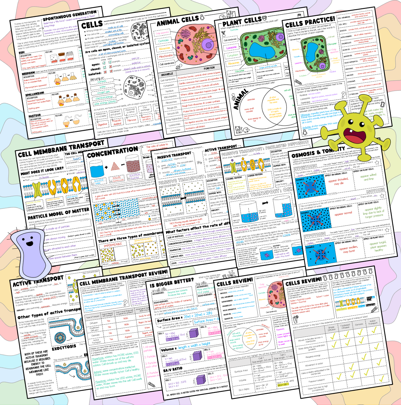 Cells Chapter Notes and Practice (organelles, membrane transport, SA:V ...
