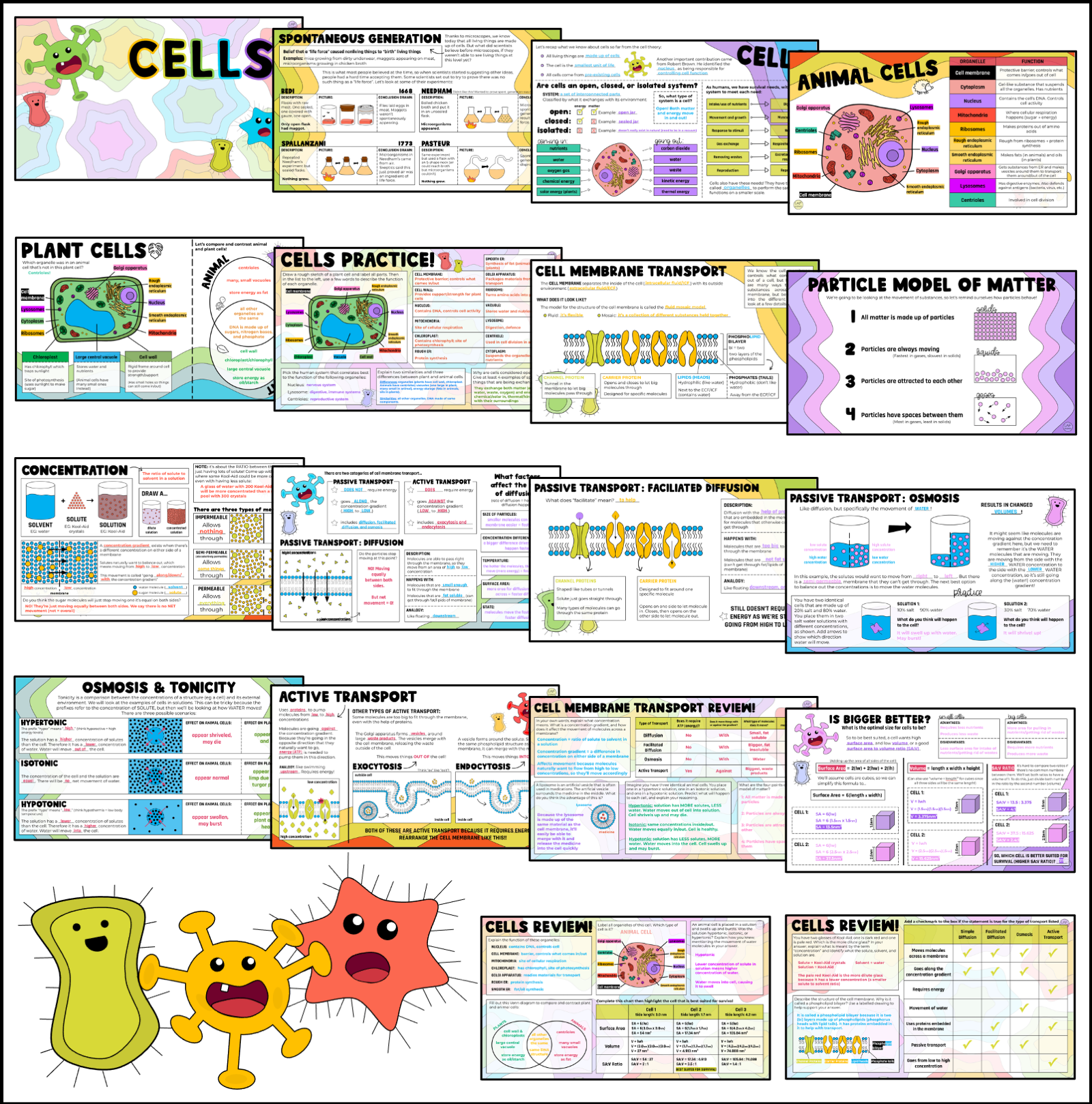 Cells Chapter Notes and Practice (organelles, membrane transport, SA:V ...