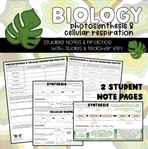 Photosynthesis and Cellular Respiration Notes & Practice | Made By Teachers