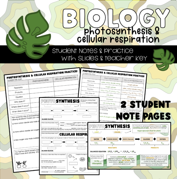 Photosynthesis and Cellular Respiration Notes & Practice | Made By Teachers