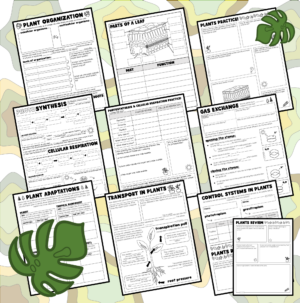 Plants Chapter Notes and Practice | Made By Teachers
