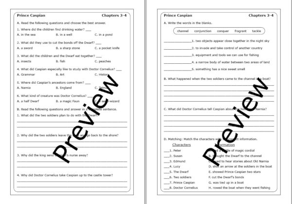 C. S. Lewis "Prince Caspian" worksheets | Made By Teachers