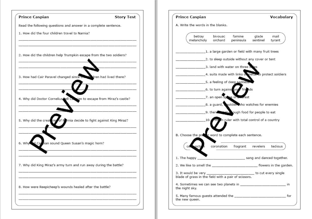 C. S. Lewis "Prince Caspian" worksheets | Made By Teachers