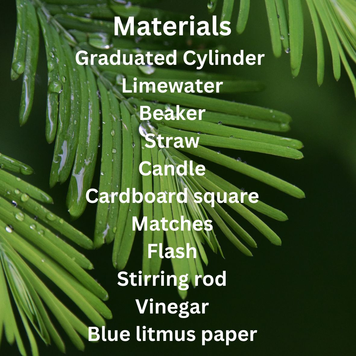 Weather Acid Rain Lab | Made By Teachers