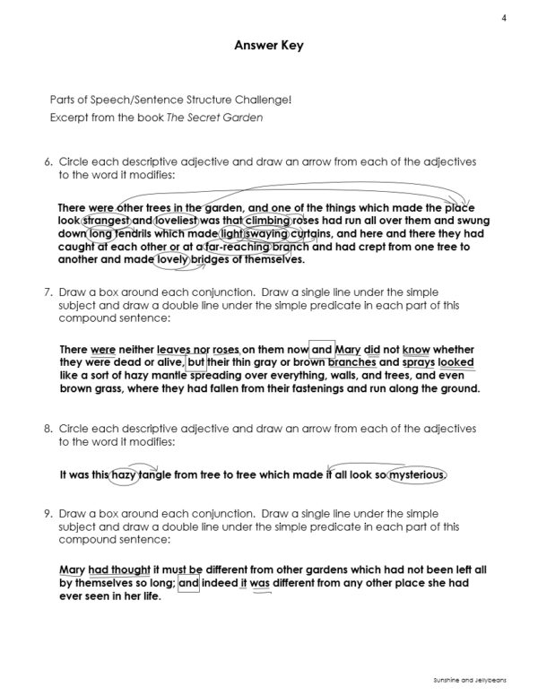 Grammar Challenge! - Parts of Speech and Sentence Structure - Secret ...