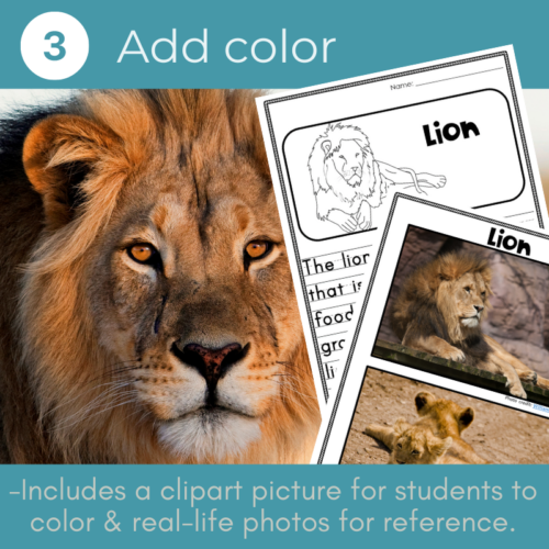 African Animal facts Read Write Color activity BUNDLE | Made By Teachers