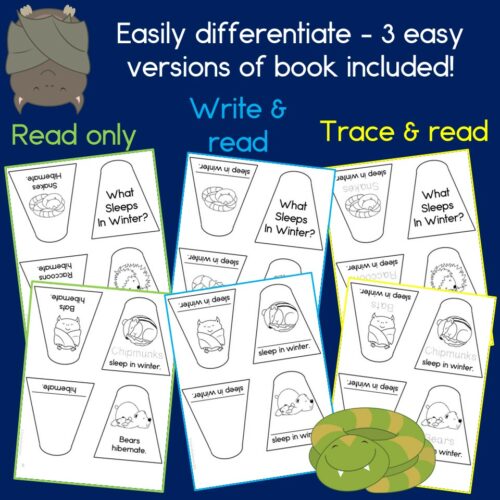 Hibernation Guided Reading Sleepy Bear Book and Craft | Hibernating ...