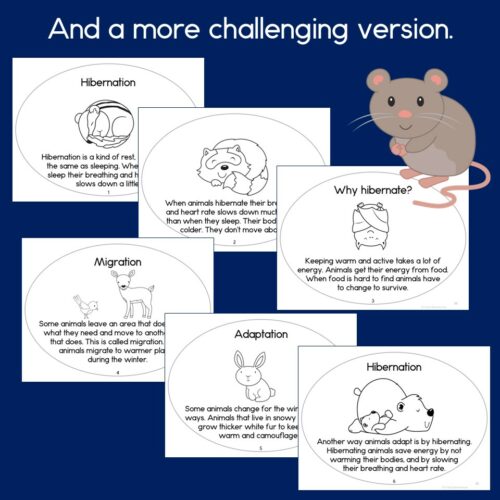 Hibernation Guided Reading Sleepy Bear Book and Craft | Hibernating ...