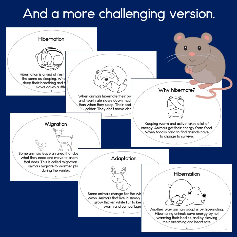 Hibernation Guided Reading Sleepy Bear Book and Craft | Hibernating ...