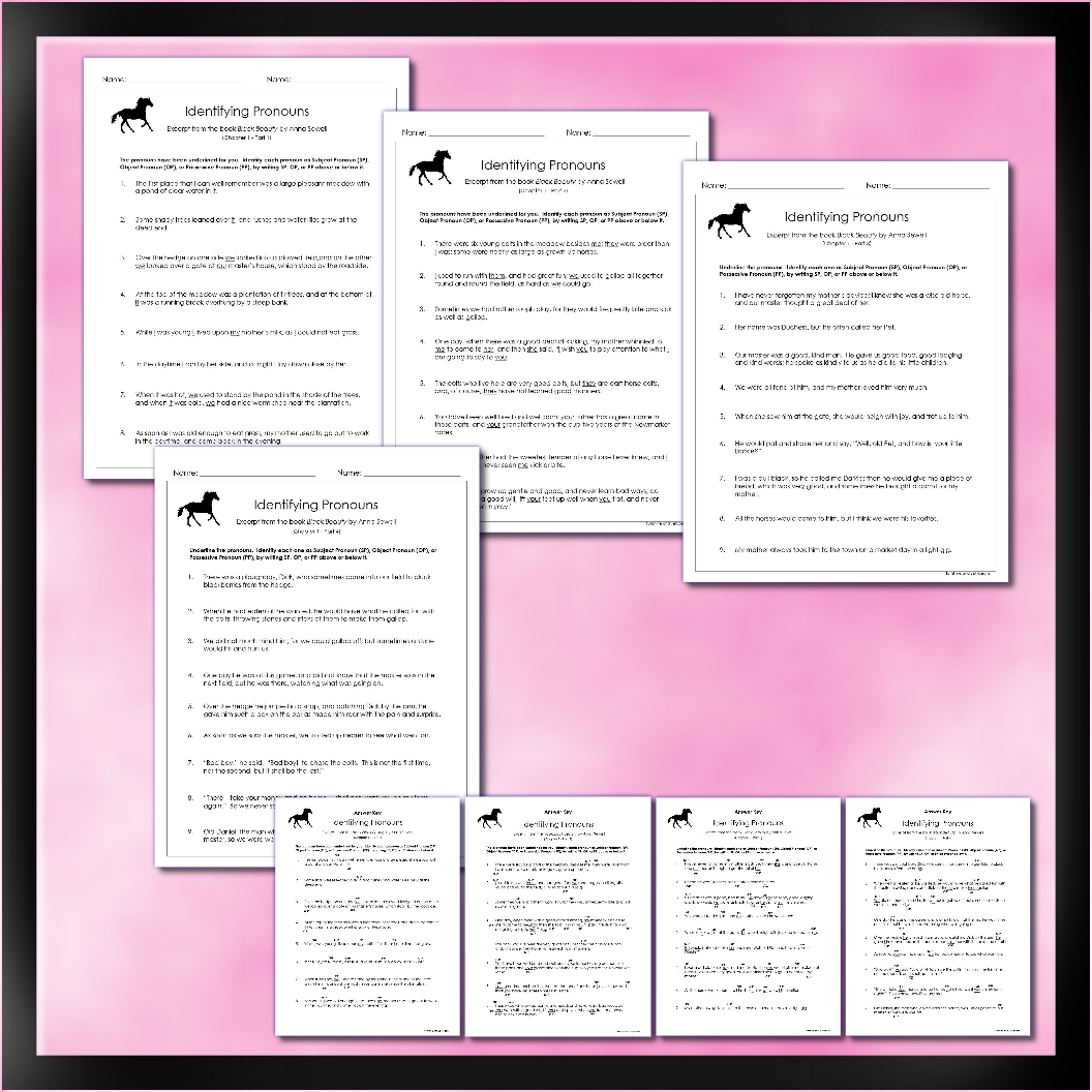 Identifying Pronouns - Subject/Object/Possessive - Black Beauty ...