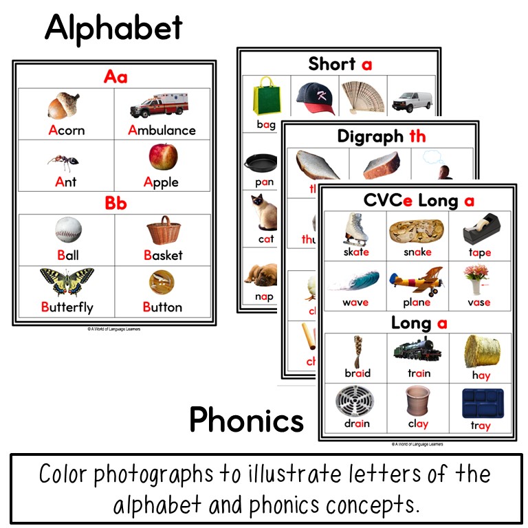 ELD Picture Dictionary | ESL Newcomer Vocabulary Print and Digital ...