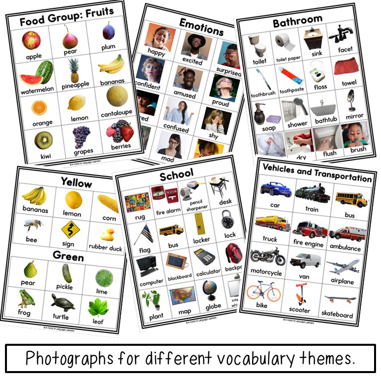 ELD Picture Dictionary | ESL Newcomer Vocabulary Print and Digital ...