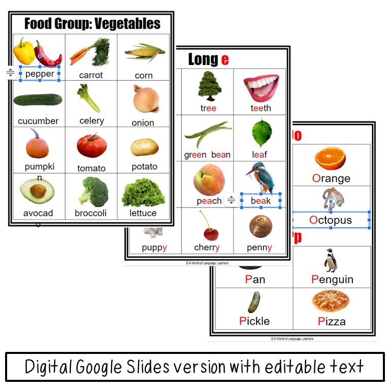 ELD Picture Dictionary | ESL Newcomer Vocabulary Print and Digital ...