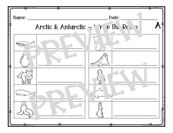 Arctic and Antarctic Animals Differentiated Write and Add the Room ...