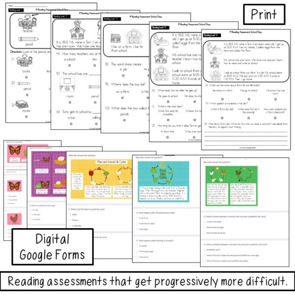 ESL Language Assessments for Reading Writing Speaking Listening | Print ...