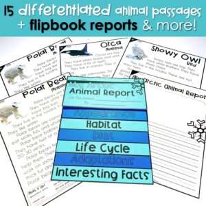 Arctic Animals Research Project and Winter Reading | Made By Teachers