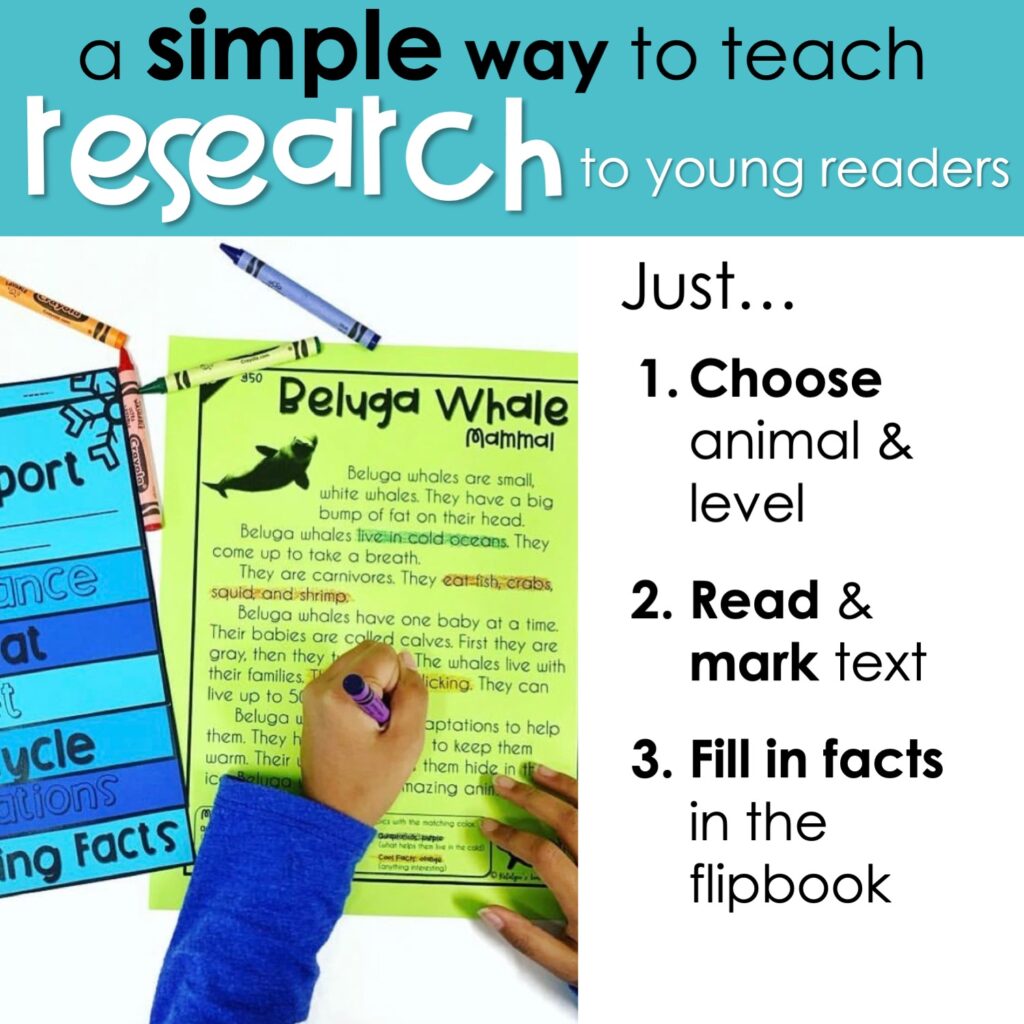 Arctic Animals Research Project and Winter Reading | Made By Teachers
