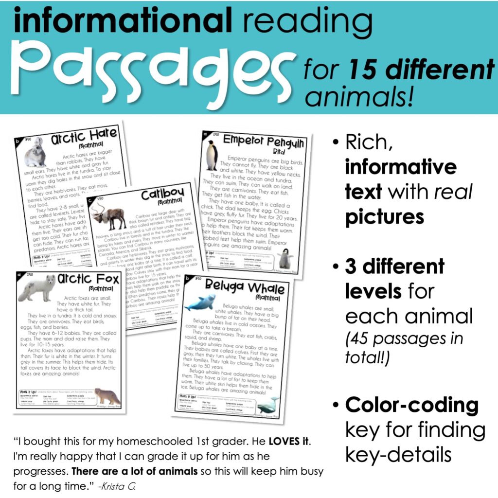 Arctic Animals Research Project and Winter Reading | Made By Teachers
