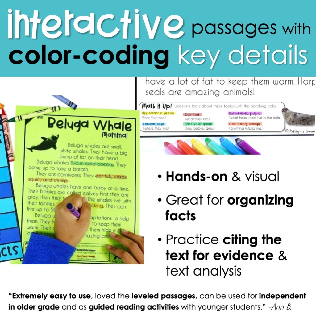 Arctic Animals Research Project and Winter Reading | Made By Teachers