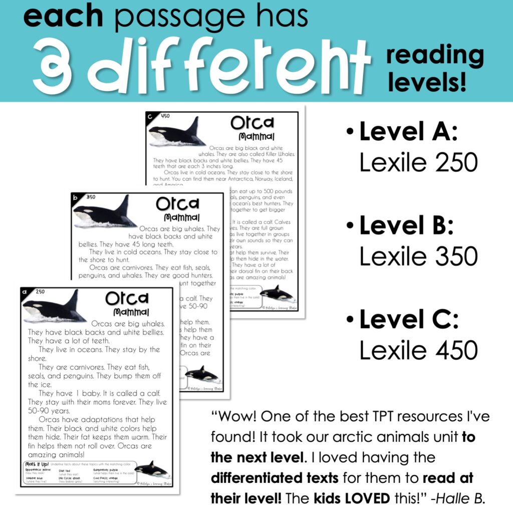 Arctic Animals Research Project and Winter Reading | Made By Teachers