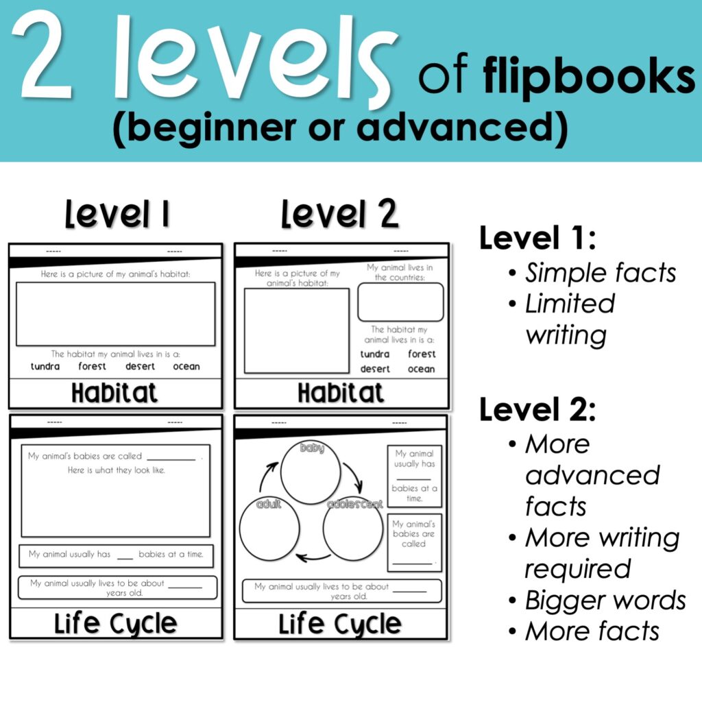 Arctic Animals Research Project and Winter Reading | Made By Teachers