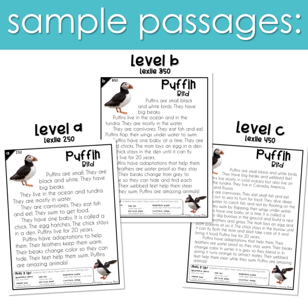 Arctic Animals Research Project and Winter Reading | Made By Teachers