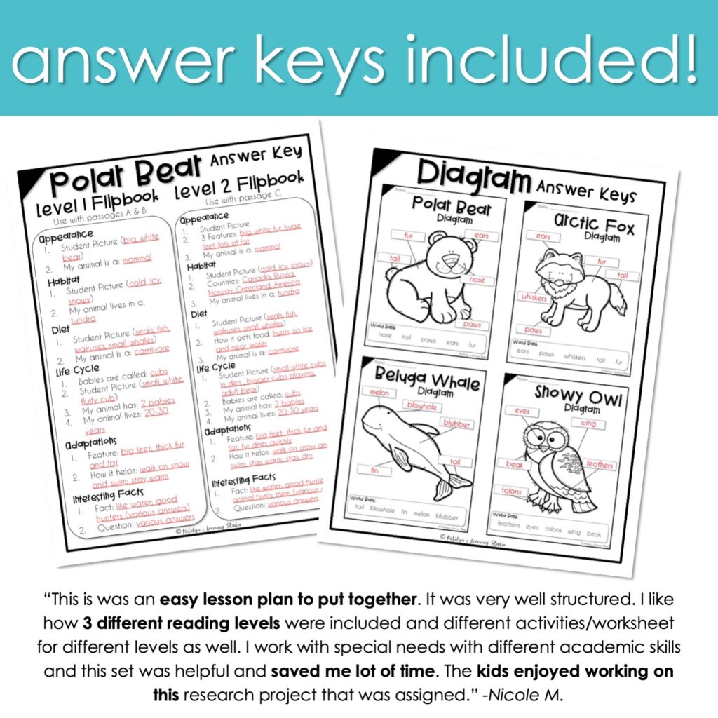 Arctic Animals Research Project and Winter Reading | Made By Teachers