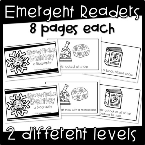 Snowflake Bentley Winter Reading Comprehension Worksheets | Made By ...