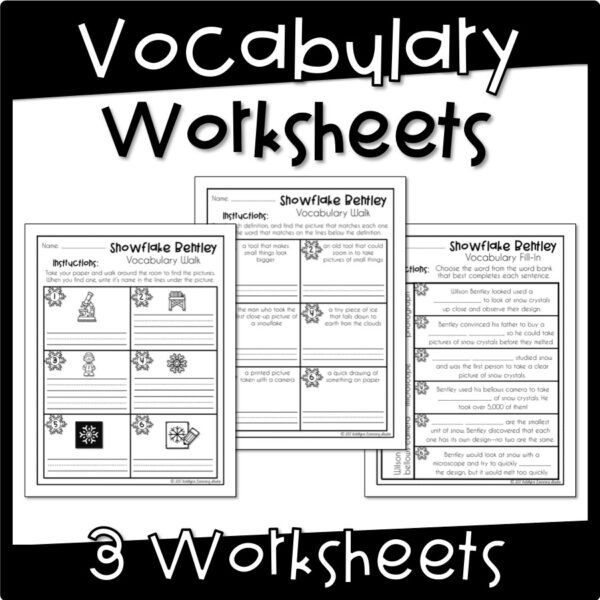 Snowflake Bentley Winter Reading Comprehension Worksheets | Made By ...