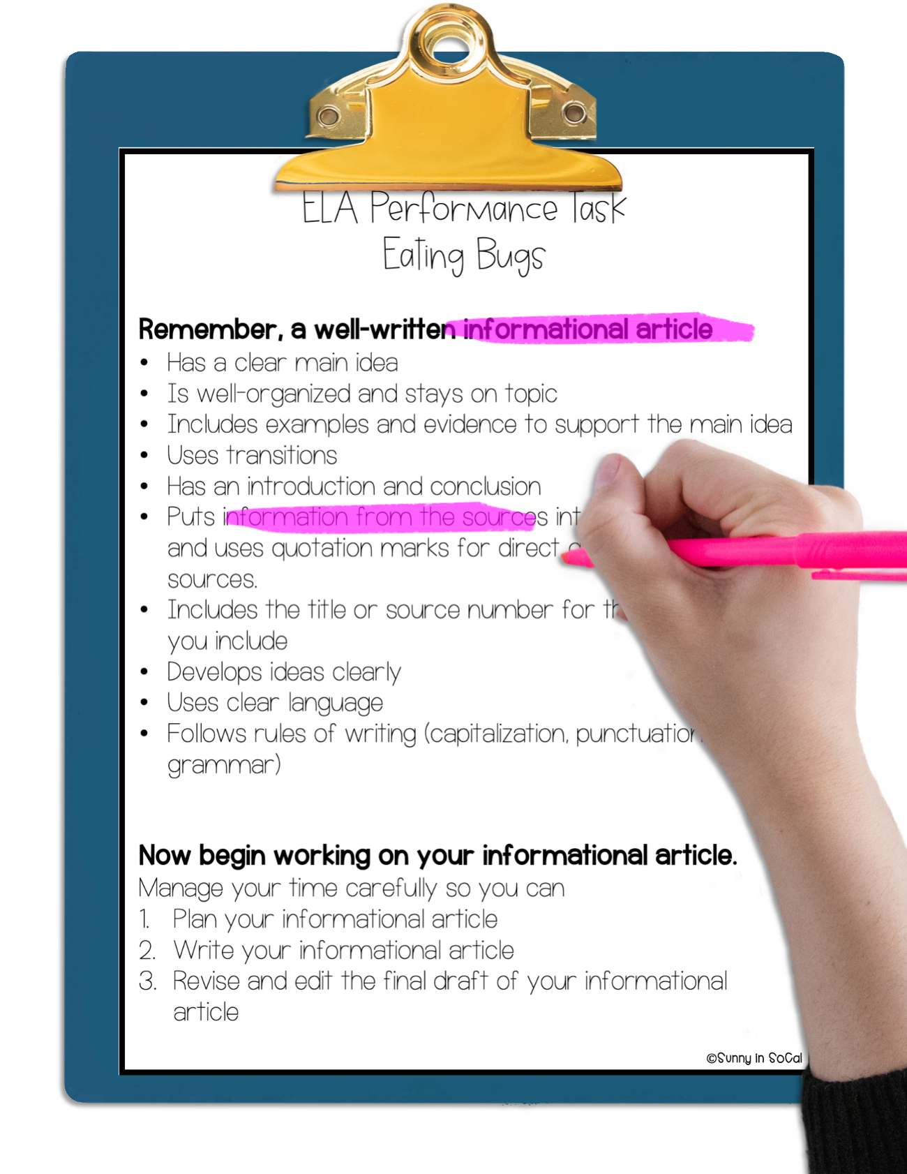 4th grade Performance Task | Eating Insects | Made By Teachers