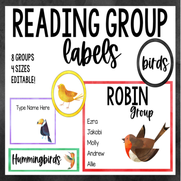 Reading Groups Labels | Watercolor Birds | Made By Teachers