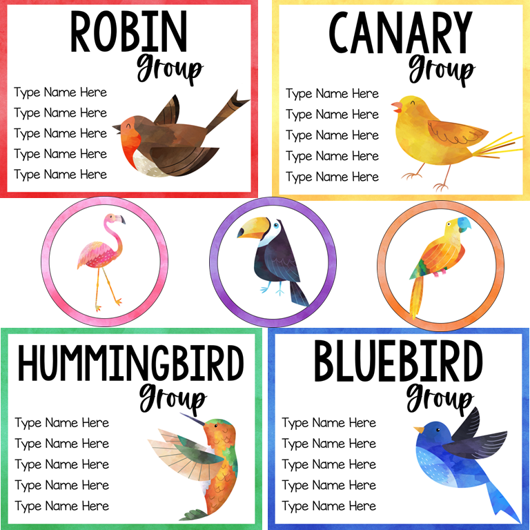 Reading Groups Labels | Watercolor Birds | Made By Teachers