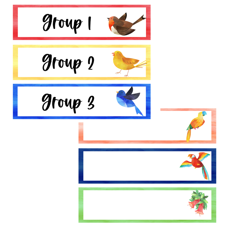 Reading Groups Labels | Watercolor Birds | Made By Teachers